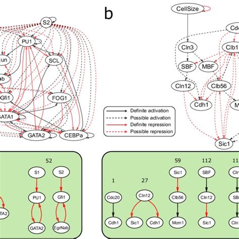 Required Network Motifs In Realistic Biological Networks A Top The Download Scientific