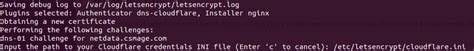 Certbot Dns Cloudflare Linuxbabe