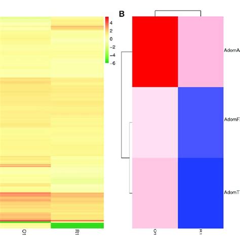 Analysis Of Deg Between Before And After Flight Muscle Histolysis In A