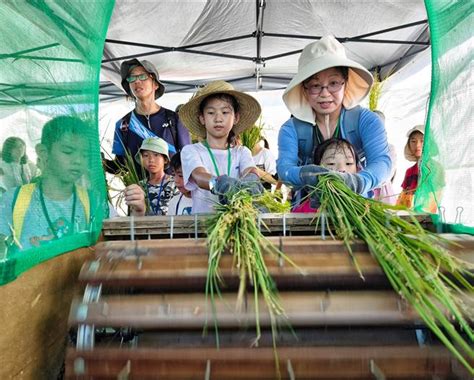 新北濕地藝術季10／26登場 環境教育體驗學童齊聚割稻 生活 中時