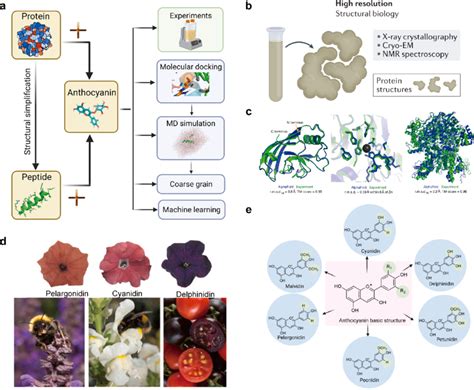A The Framework Of The Review Created With Biorender B Download Scientific Diagram