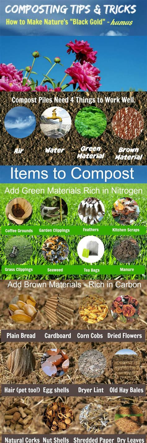 Composting Tips Tricks For Making Mother Nature S Black Gold