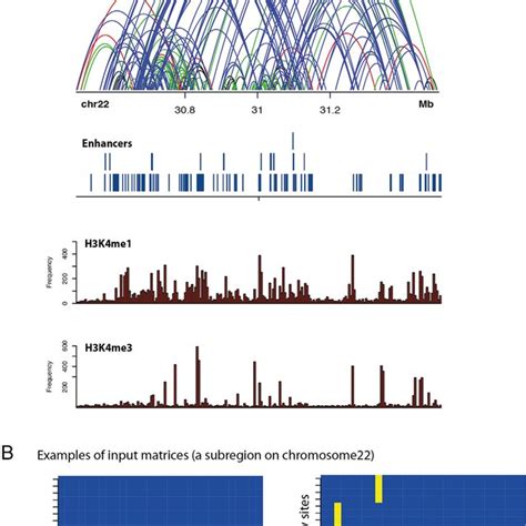 Schematic Representation Of The Swipe Nmf Framework Heterogeneous