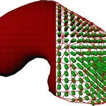 The Hybrid Geometric Model Organization Download Scientific Diagram