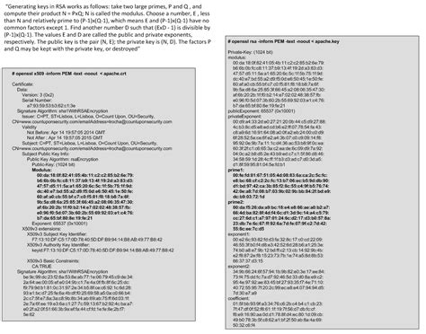 Extract Rsa Key Count Upon Security