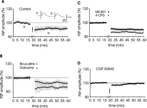 Effect Of 1 Hz Stimulation Of The Direct Cortical Input On The