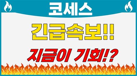 코세스 주가전망 214 긴급속보 지금이 기회 Youtube