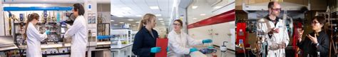 School Of Chemistry University Of Glasgow Employees Location Alumni