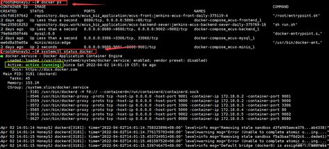 Warning Stopping Rvice But It Can Still Be Activated By Dockersocket Csdn博客
