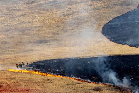 Grass And Shrub Fires Destroy More Homes Than Forest Fires Across Us