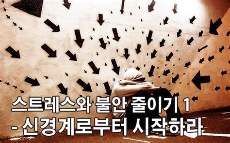 The Special 스트레스와 불안 줄이기1 신경계로부터 시작하라