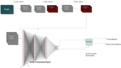 Architecture Of Cnn 32 Dataset The Dataset Used For Colon Cancer