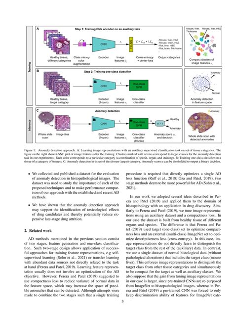 learning image representations for anomaly detection application to discovery of histological