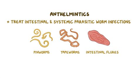 Video Anthelmintics Nursing Pharmacology Osmosis