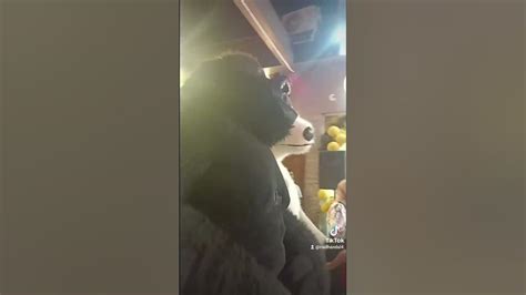 مول هاب 50 زهراء المعادي ليالي للمجوهرات Youtube