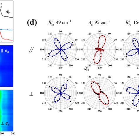 EBSD Pole Figure Analysis From The In Plane Center Region Of The SnS Download Scientific
