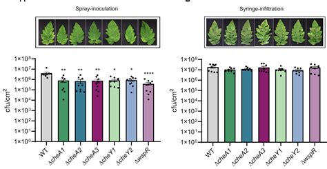 Chemosensory Systems Interact To Shape Relevant