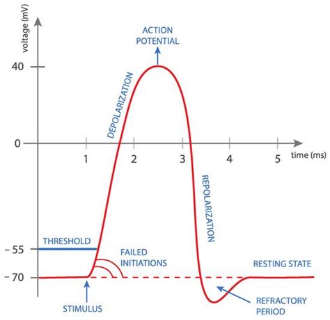 Effects Of High Intensity Pulsed Electromagnetic Field Therapy Treatment Pemf