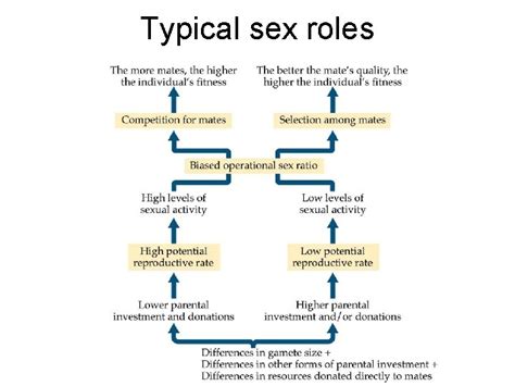 Ethology Behavioural Ecology The Evolution Of Reproductive Behaviour