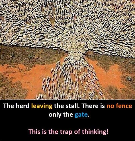 Krunal Bhatt On Linkedin Do We Have Such A Thinking Trap