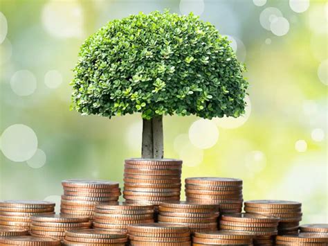 पुढची 5 वर्षे तुम्ही 500 1000 1500 आणि 2000 रुपयांची Sip केल्यास किती होईल फायदा Sip