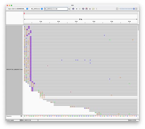 Is The Sars Cov 2 Genome Valid By Us Mortality