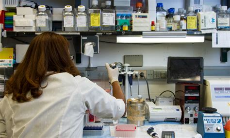 Reproduction In Space Is Growing Mouse Embryos Possible The Hyperhive