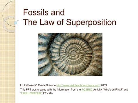 Ppt Fossils And The Law Of Superposition Powerpoint Presentation
