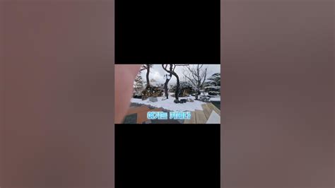 잼민냥의 제천 브이로그 Vlog Shorts Youtube