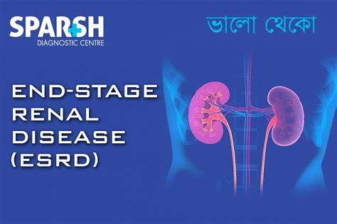 End Stage Renal Disease Esrd A Complete Guide Sparsh Diagnostic Center