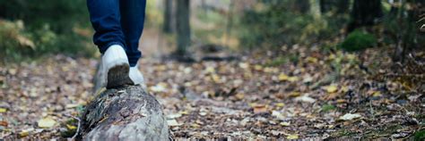 Whats On Sussex Wildlife Trust