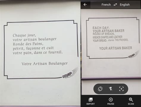 Google Translate Will Not Help You Have Stoner Sex In Paris The Verge