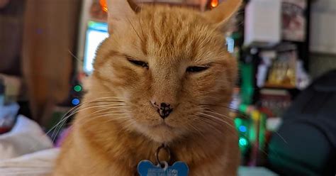 Mr Data Album On Imgur