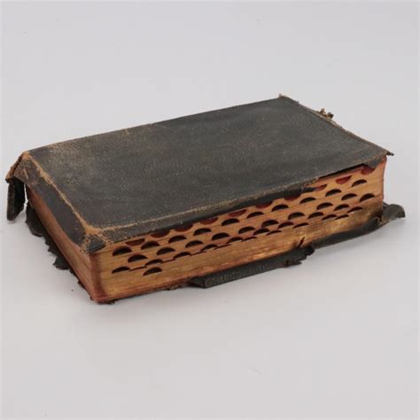 Leather Bound Parallel Column Edition And Other Holy Bibles Everything But The House