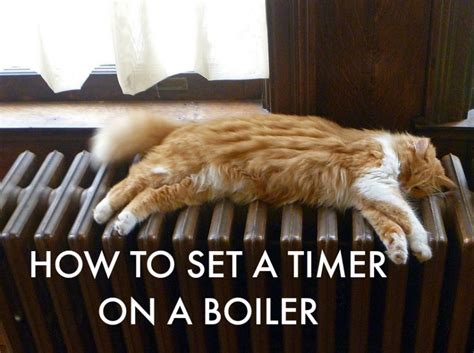 How To Set A Timer On A Boiler An Illustrated Guide Moral Fibres