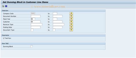 F P SAP Tcode Dunning Block In Customer Line Items