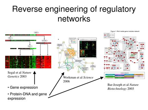 Ppt 10 810 02 710 Computational Genomics Powerpoint Presentation Free Download Id 4430579