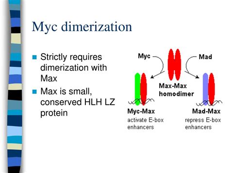 Ppt Myc Powerpoint Presentation Free Download Id 1028674