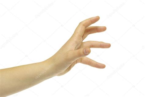 Human Hand Stock Photo Pakhnyushchyy