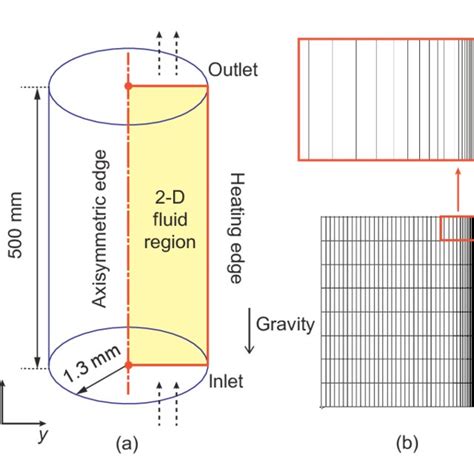 Numerical Model And Computational Mesh Download Scientific Diagram