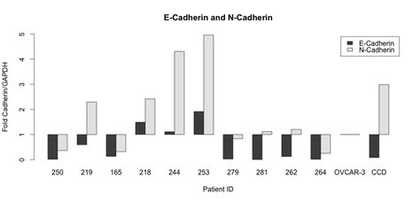R Two Sets Of Labels On On Axis In A Bar Plot Stack Overflow