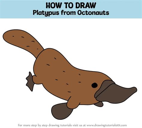 How To Draw Platypus From Octonauts Octonauts Step By Step
