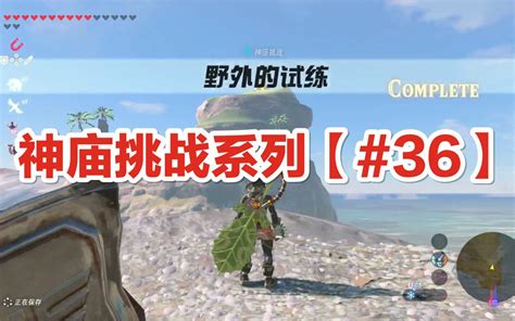 塞尔达神庙挑战系列 36【野外的试炼】攻略 塞哈特诺岛 哔哩哔哩 Bilibili