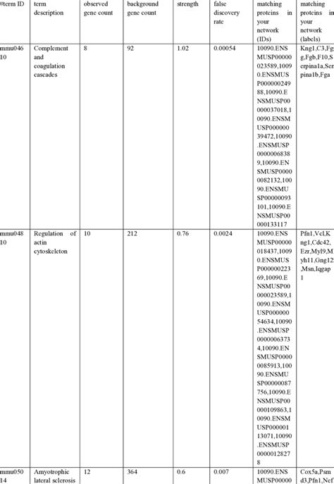 Kegg Pathway Analysis Reveal The Top 10 Pathways Affected Download