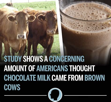 The Templar On Twitter A сегс една вест од светската велесила Дури 18 испитсниџ воедна