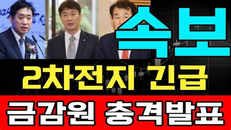 31절속보 🚨 2차전지 긴급 금감원 충격발표 공매도 재개 조삼모사입니다 에코프로 에코프로비엠 에코프로머티 포스코홀딩스 엘앤에프 금양 박순혁 서정덕tv Youtube