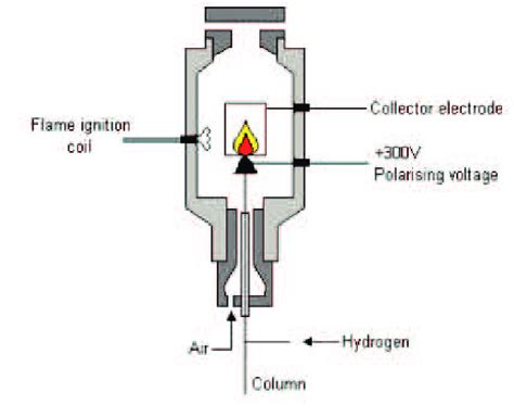 Flame Ionization Detector In The Gc Analysis There Comes A Term Called Download Scientific