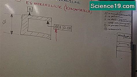 Eşmerkezlilik Nasıl Hesaplanır Bilimsel Ve Popüler Multimedya Portalı