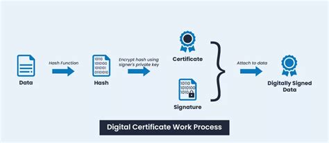 Digital Certificate Vs Digital Signature 10 Key Differences