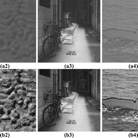 Processing Different Grayscale Images Set 3 A1 A5 Real Download Scientific Diagram